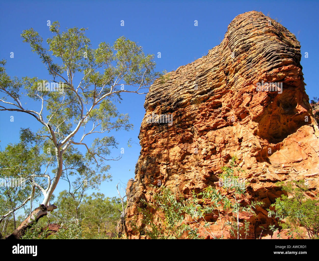 Borroloola hi-res stock photography and images - Alamy