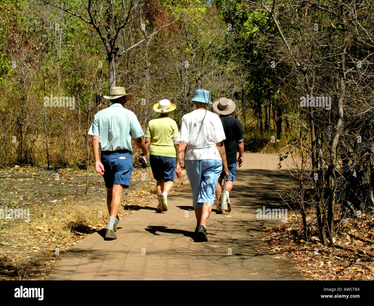 Calmness wood forest national park nature calmness greenery delicate hi-res stock photography ...