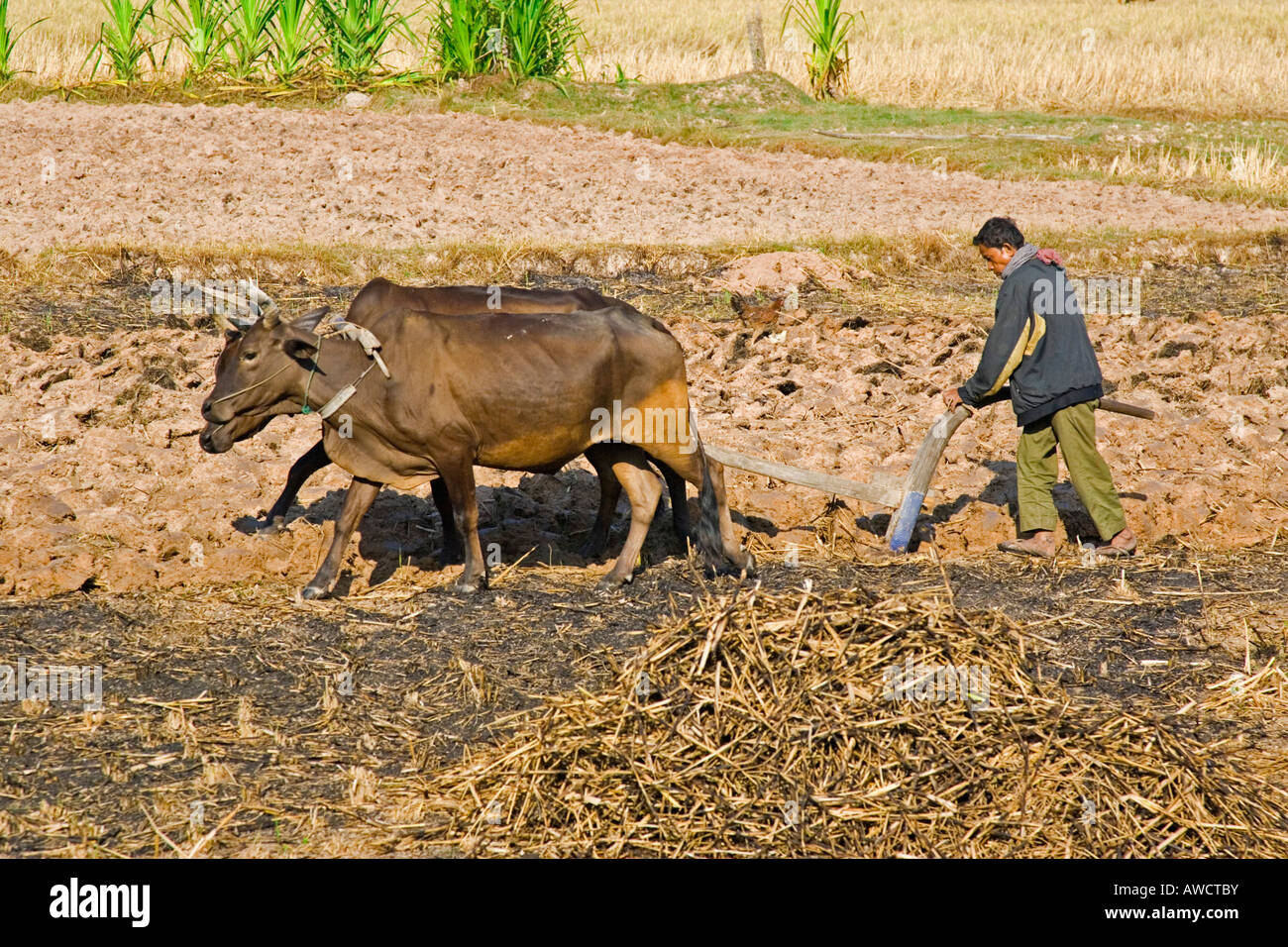 Map Of Cambodia Farming