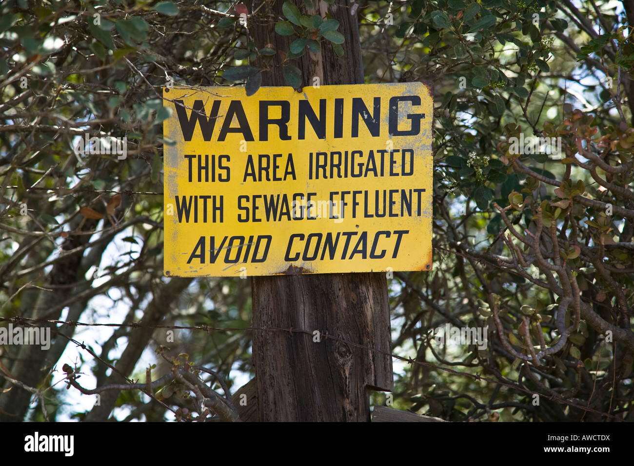 Sewage effluent sign Santa Catalina Island Channel Islands, California ...