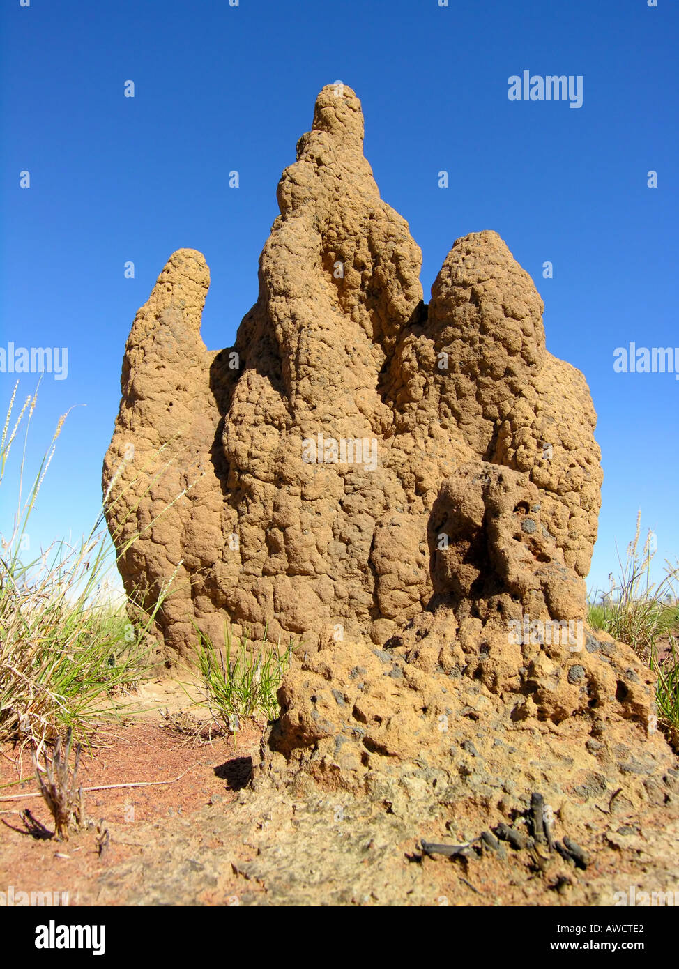 Termite Mounds Northern Territories Stock Photo - Alamy