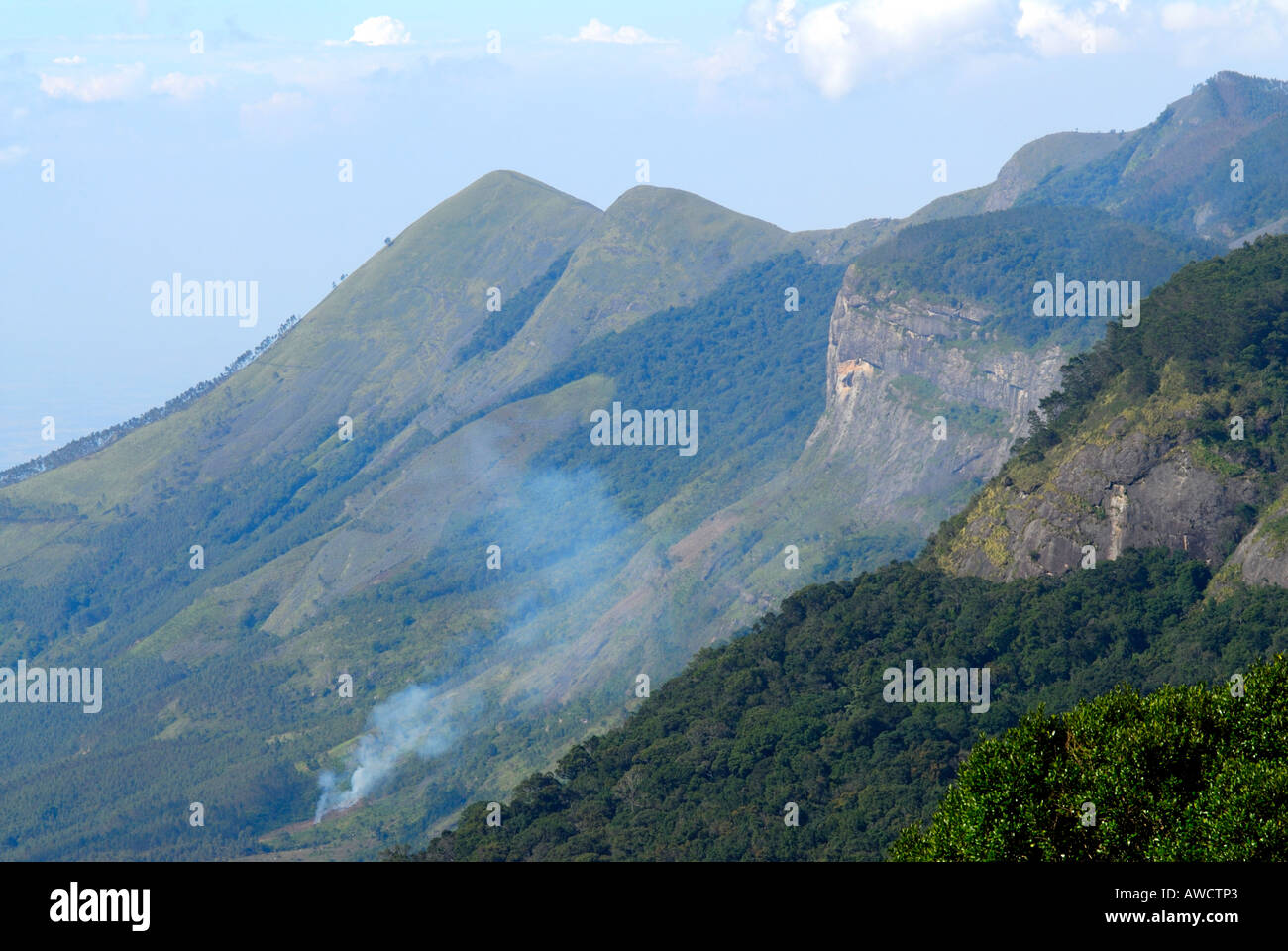 A VIEW OF THE WESTERN GHATS FROM MANNAVAN SHOLA IN KOVILOOR NEAR MUNNAR ...