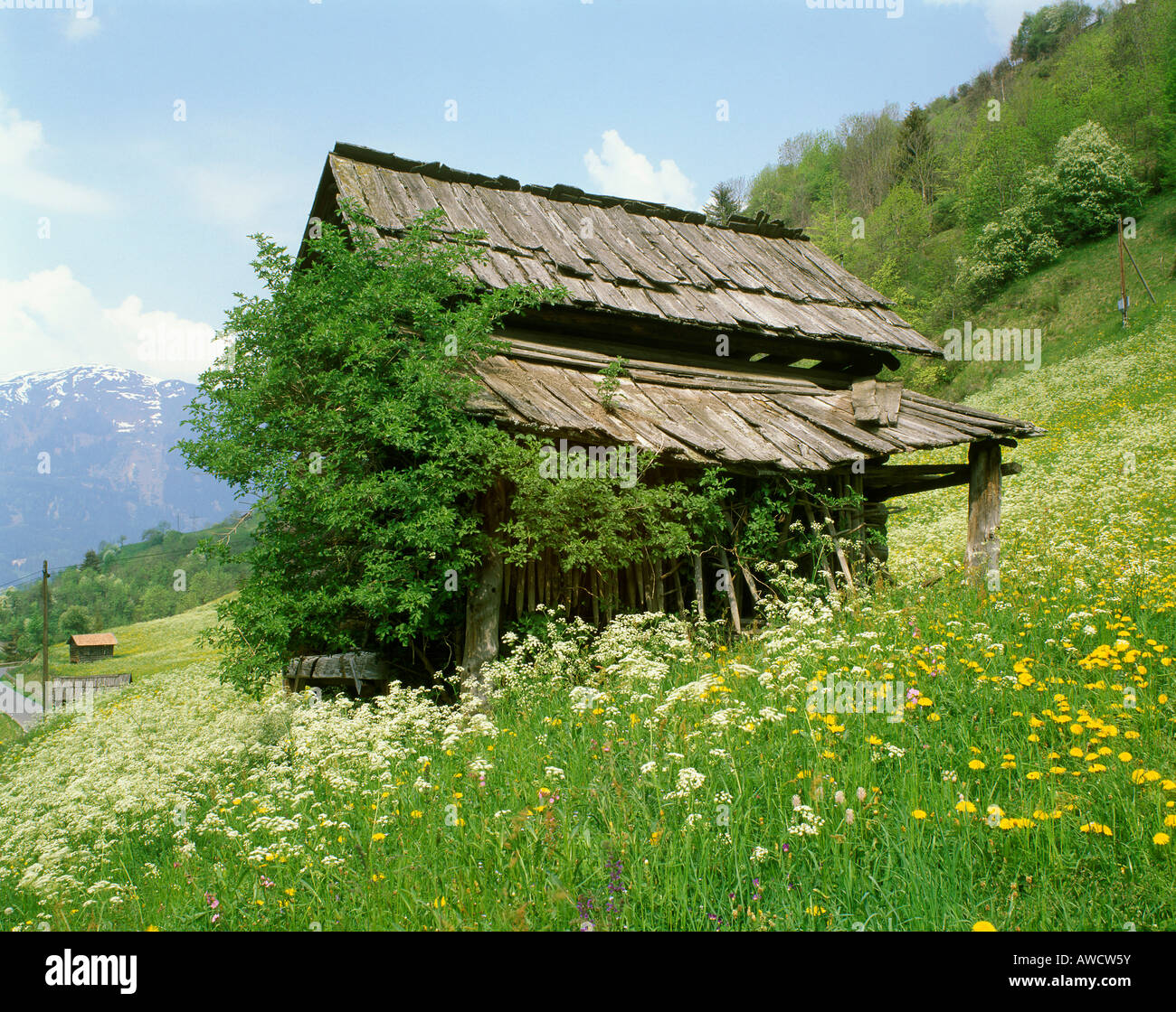 Hayrick hi-res stock photography and images - Alamy