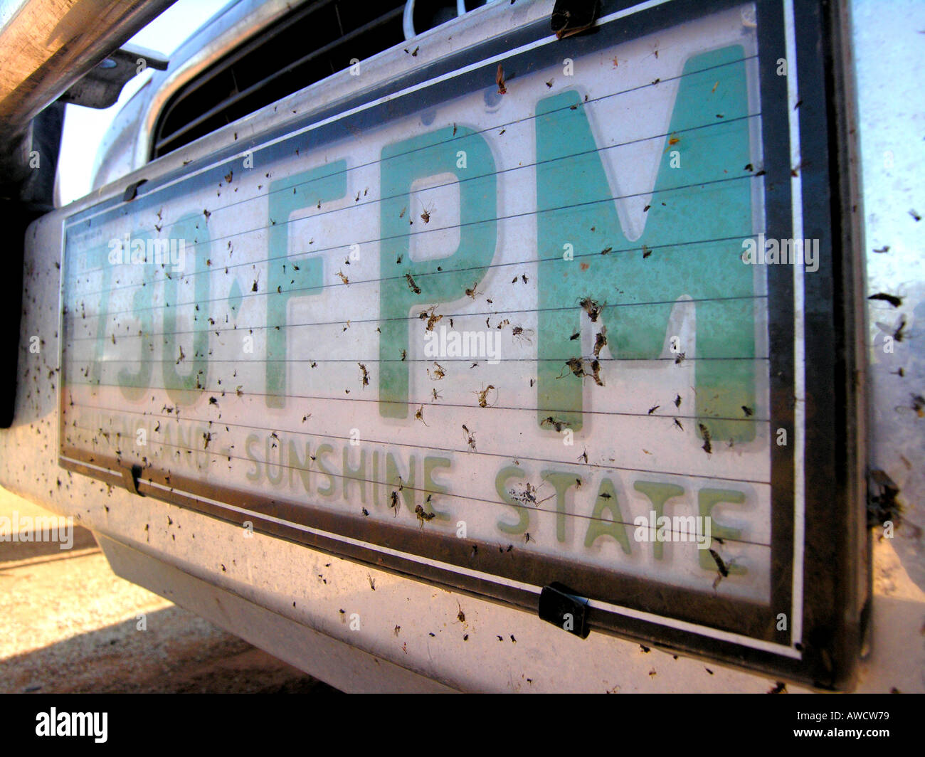 QLD license plate Stock Photo - Alamy