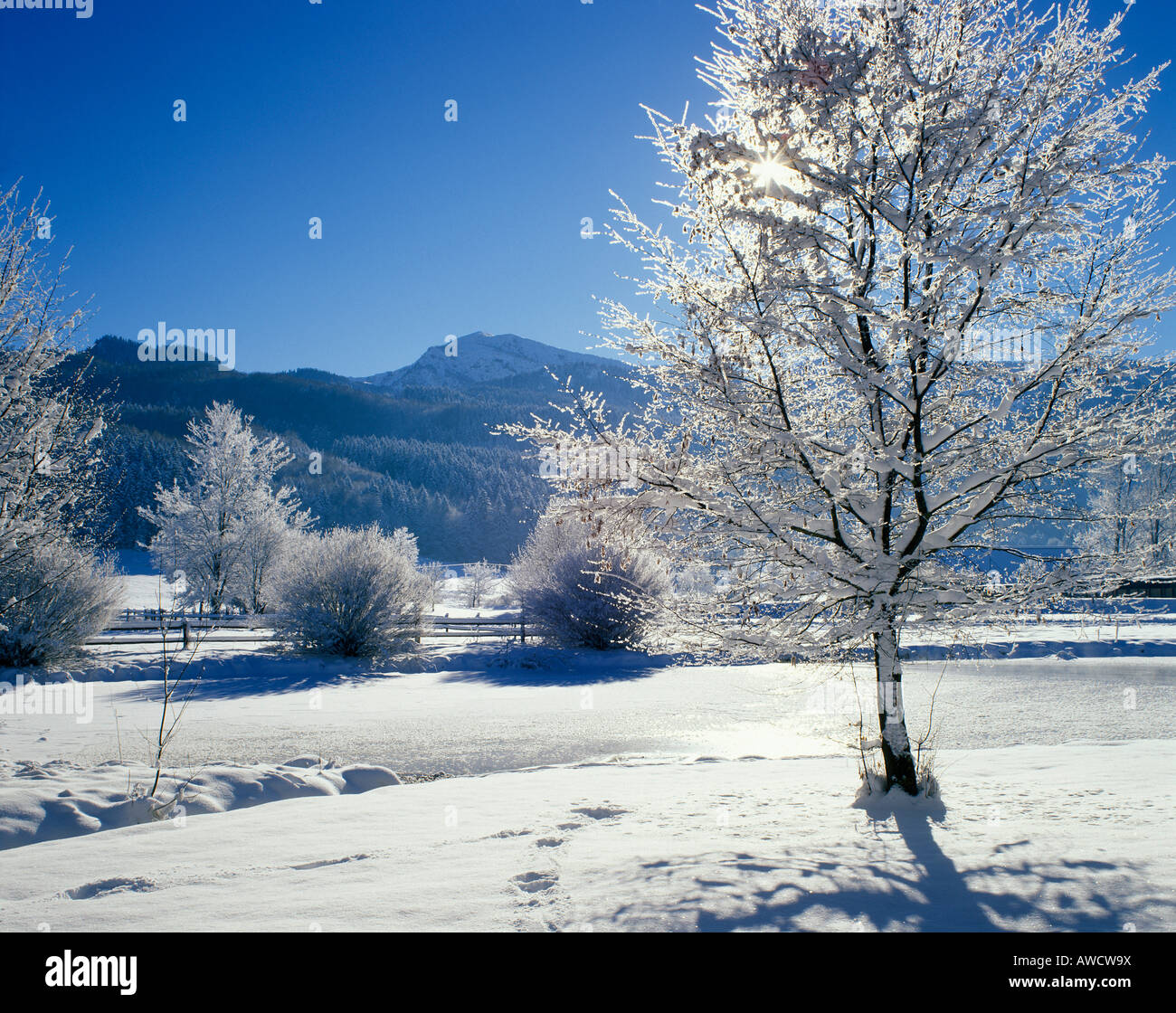 Hoar forst hi-res stock photography and images - Alamy