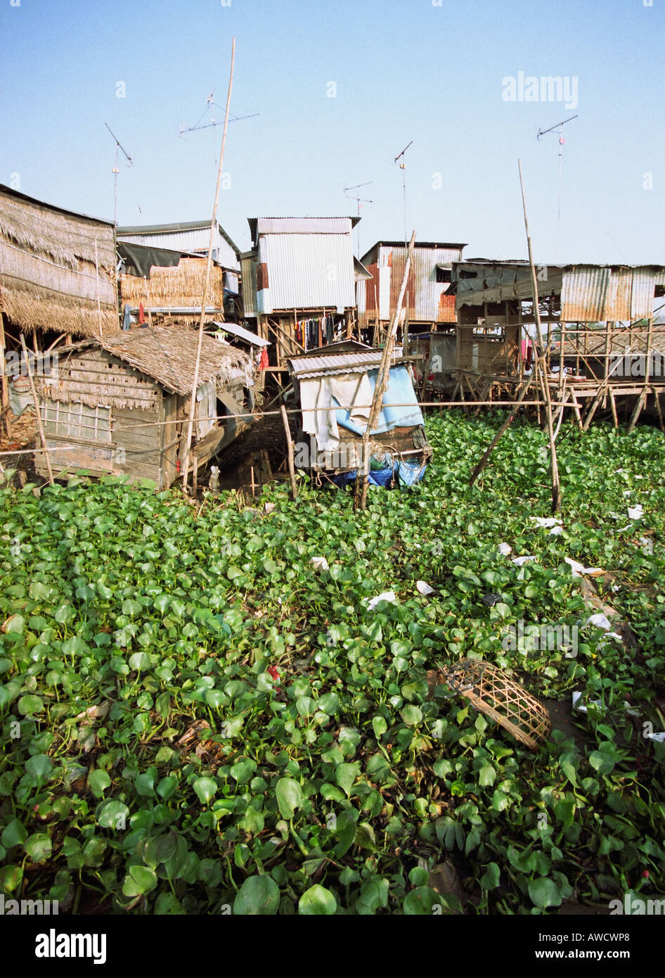 Mekong River, Stilt Houses Stock Photo - Alamy Mekong River, Stilt Houses Stock Photo - Alamy