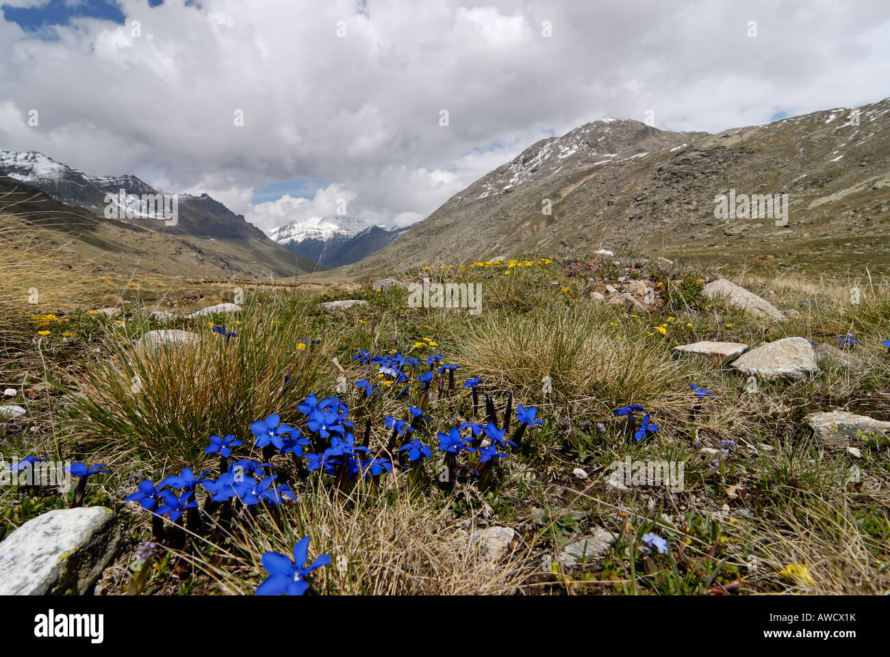 Gran Paradiso National Park between Piemonte Piedmont and Aosta valley ...