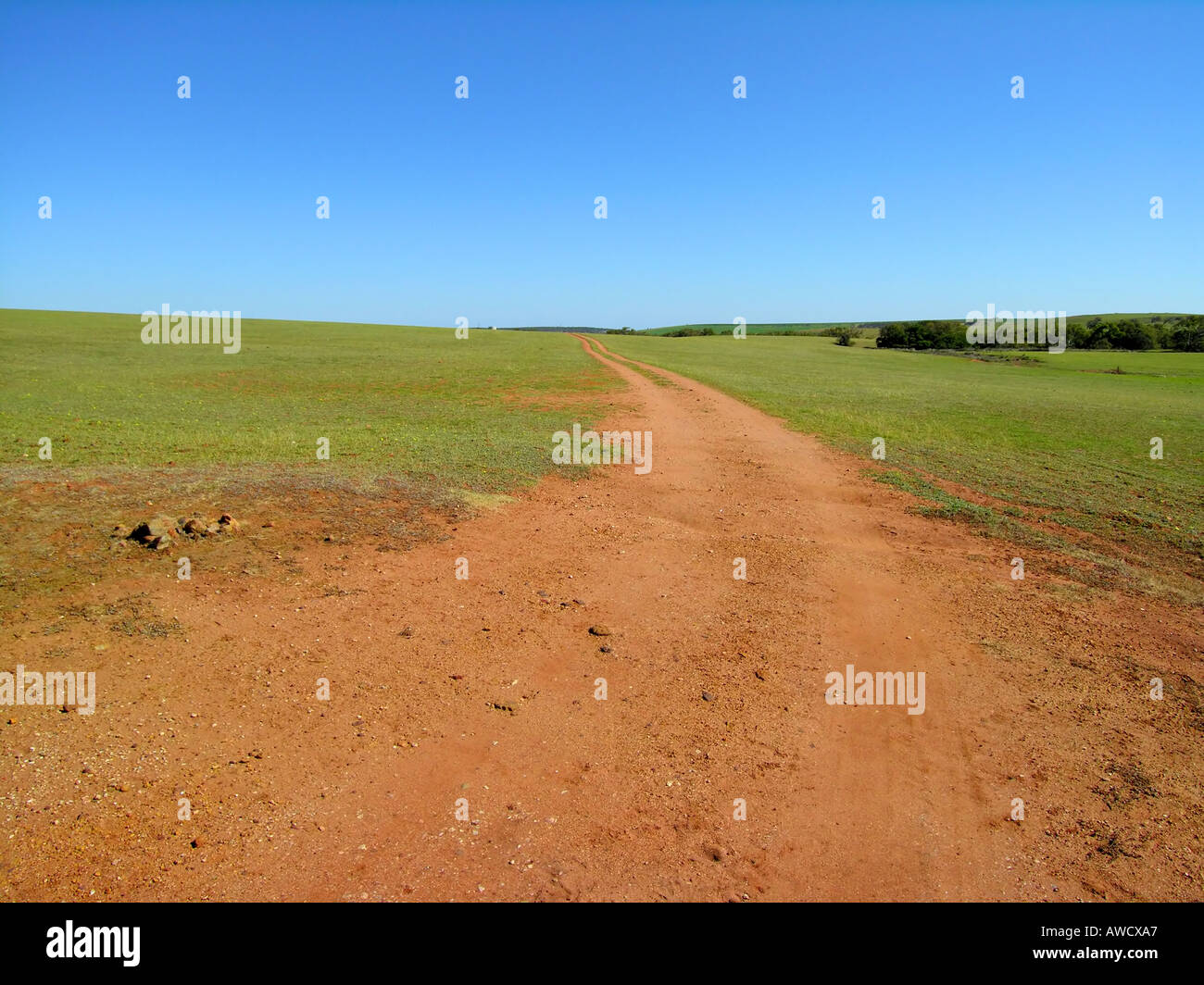 Dirt road on farm land Stock Photo - Alamy