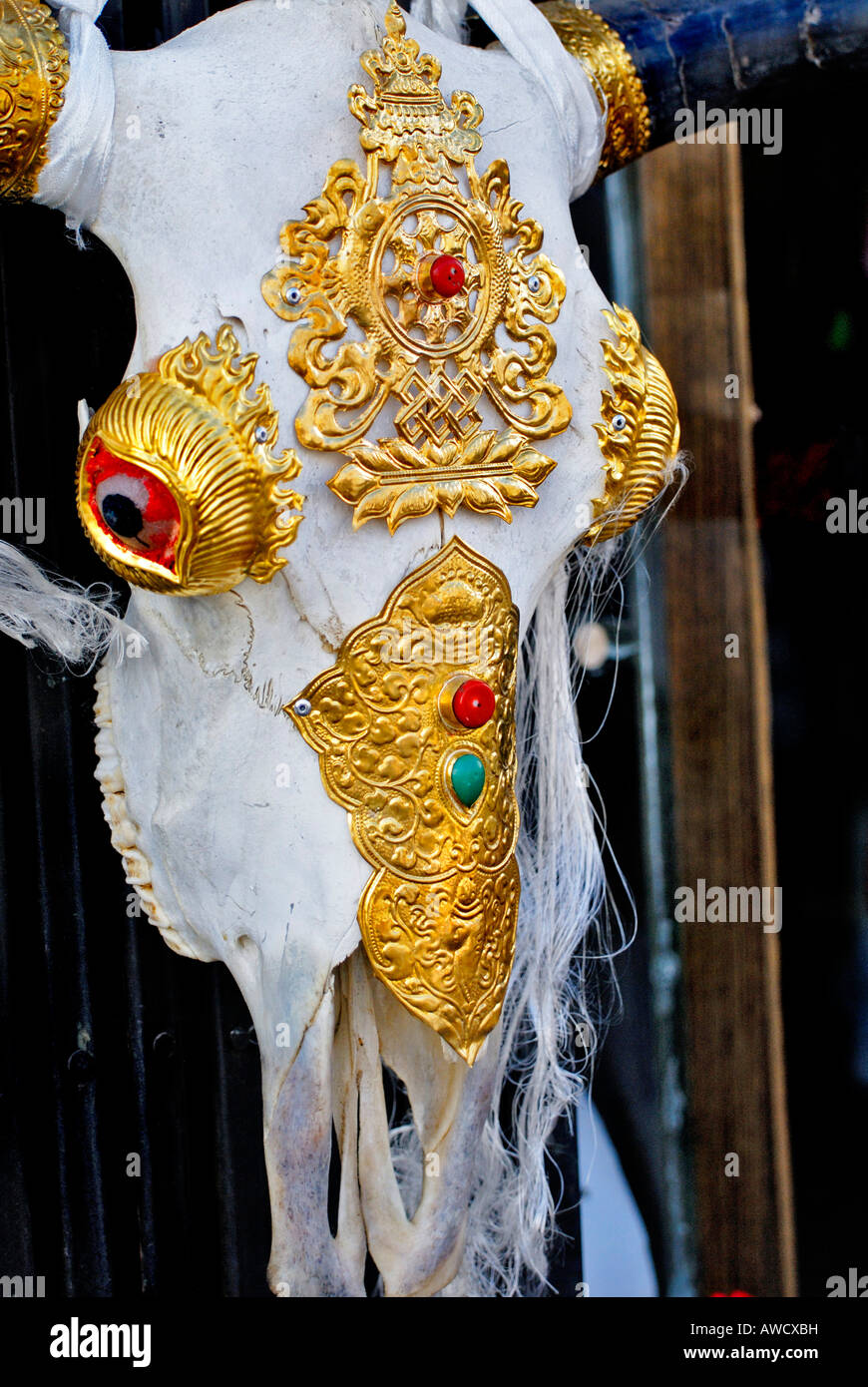 Golden ornamented Yak skull, Lhasa, Tibet Stock Photo - Alamy