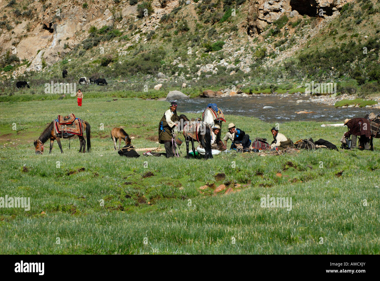 Tibetan nomad horse hi-res stock photography and images - Alamy
