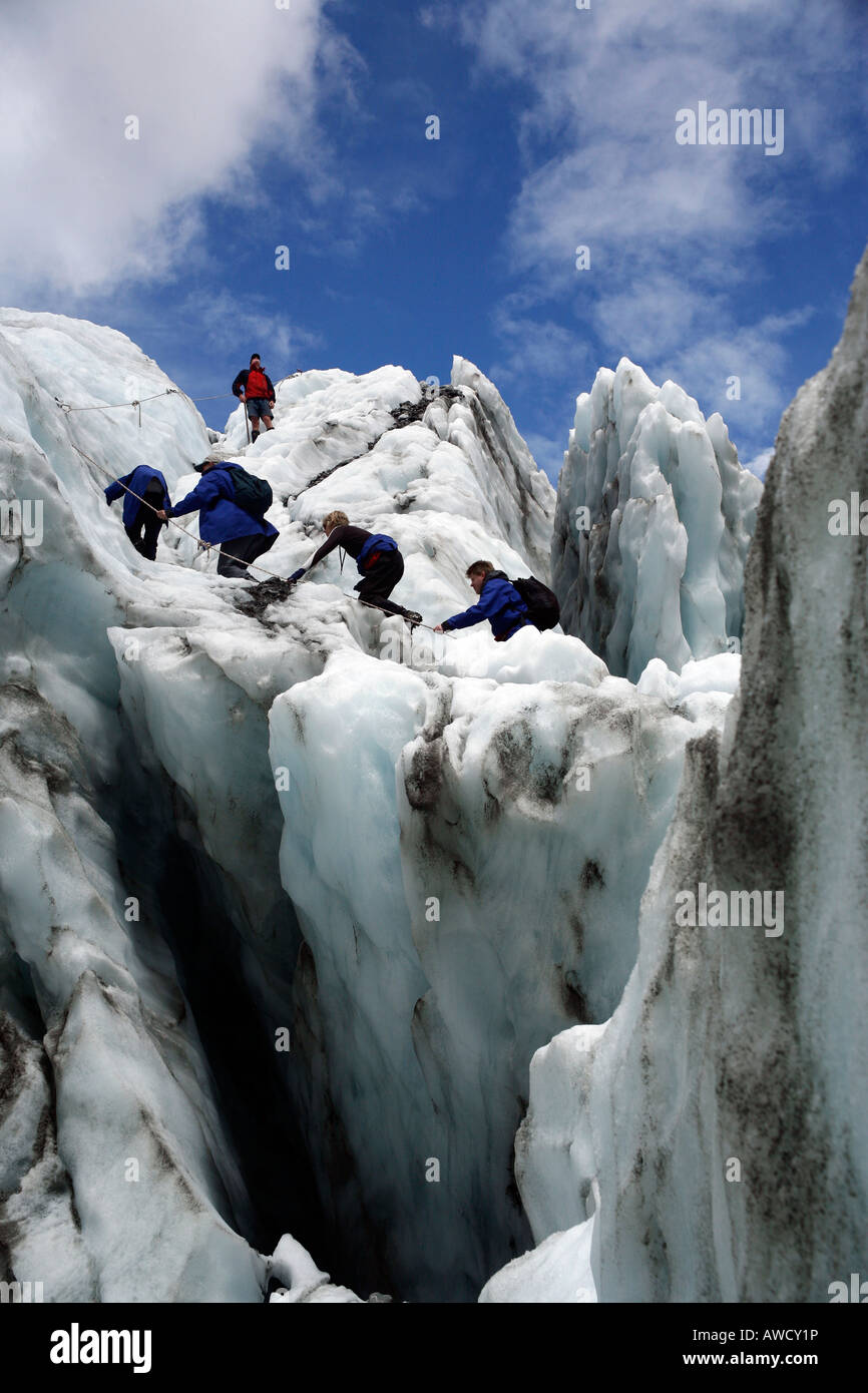 Franz josef glacier guided tour hi-res stock photography and images - Alamy