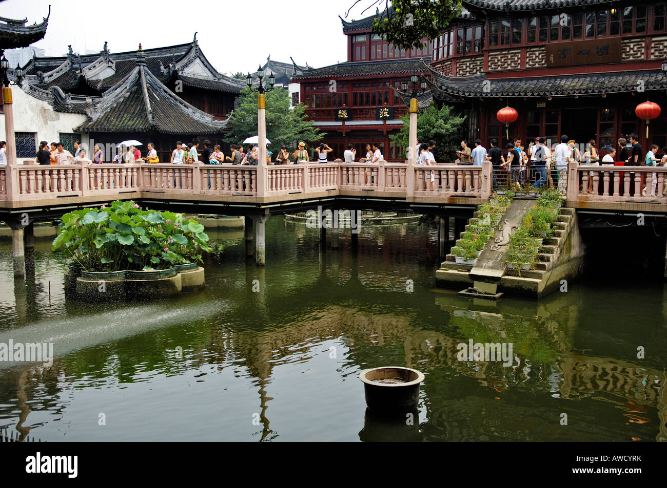Nine Curve Bridge, Yuyuan Garden, Shanghai, China, Asia Stock Photo - Alamy