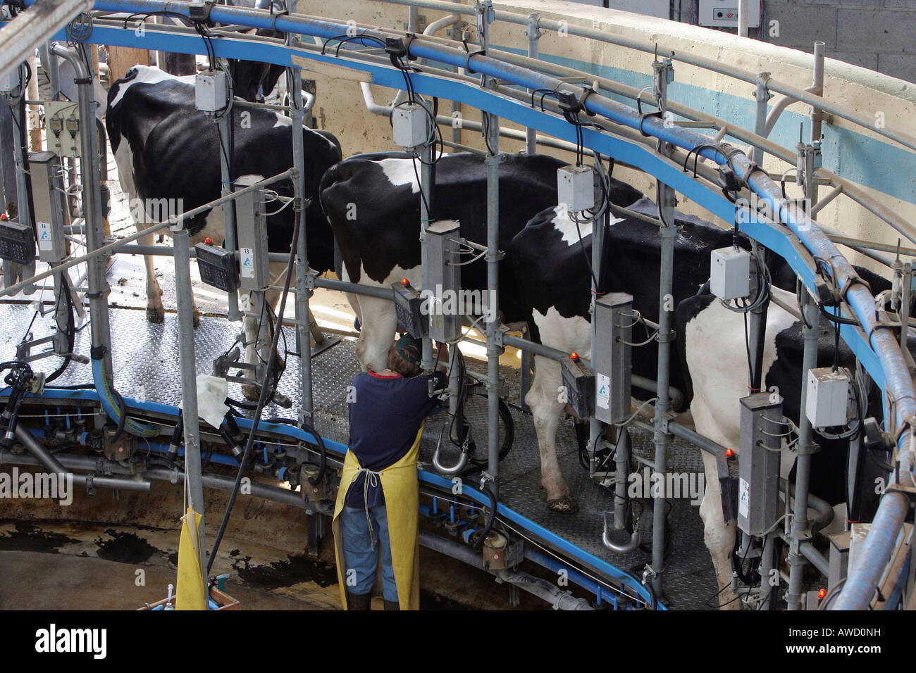 Melkerin hi-res stock photography and images - Alamy