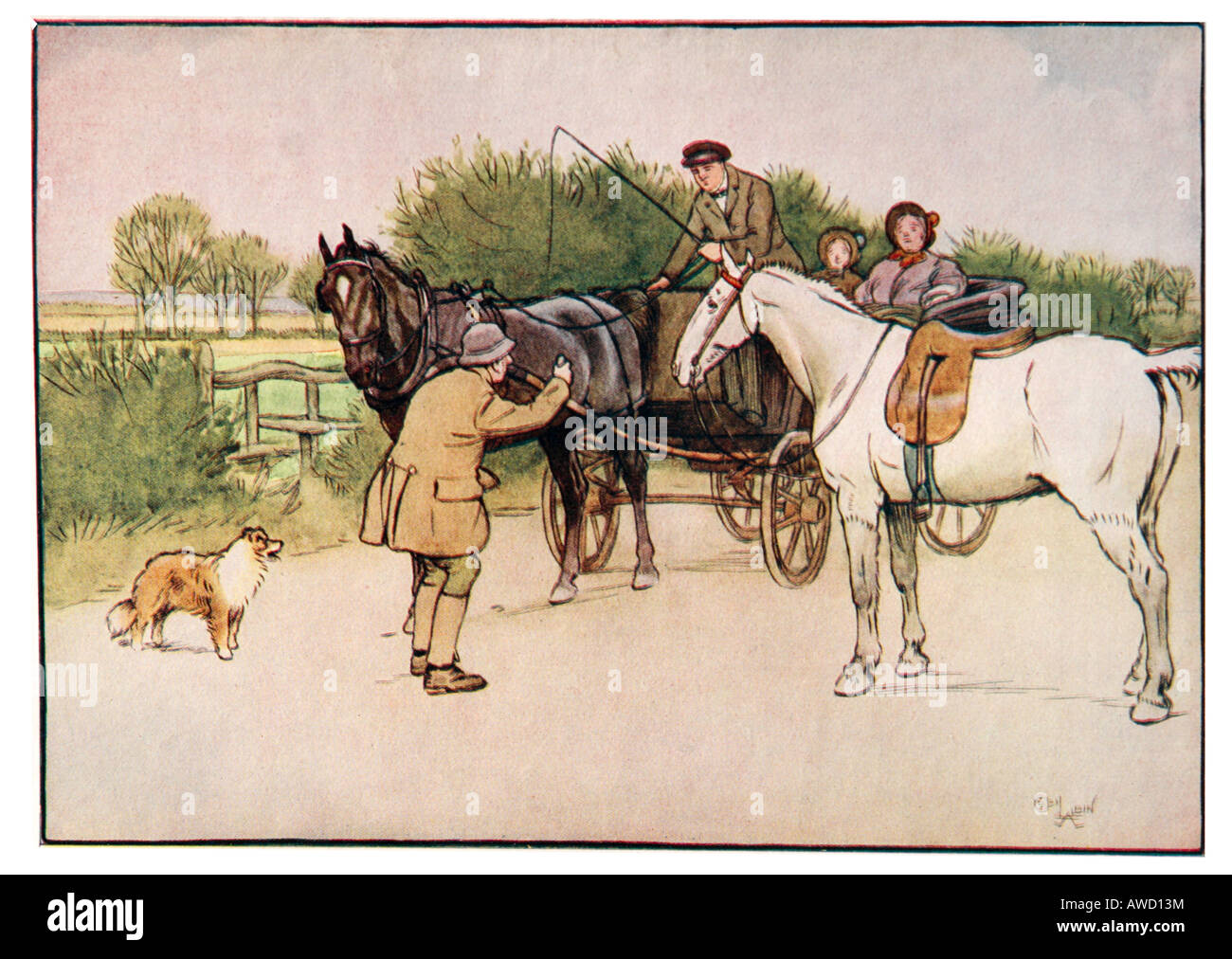 Two horses two sheep hi-res stock photography and images - Alamy