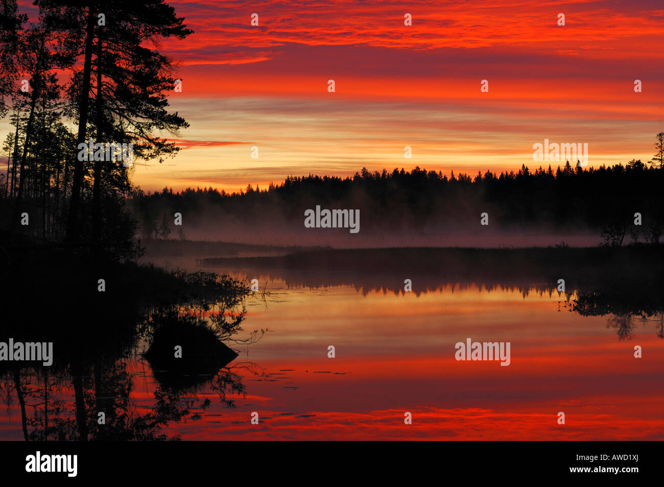 Spectacular sunrise at a Swedish raised moss lake, Dalarna, Scandinavia ...