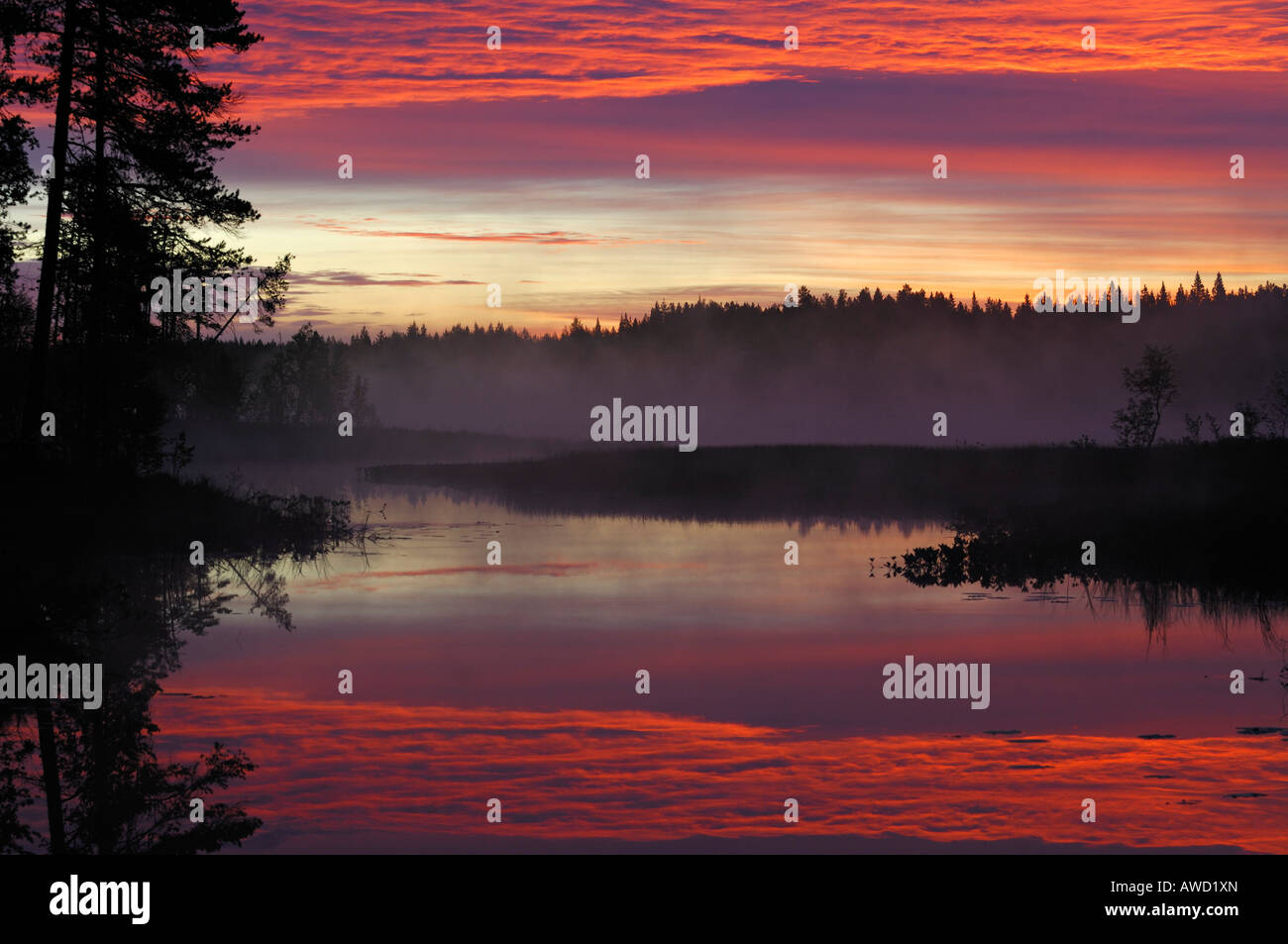 Spectacular sunrise at a Swedish raised moss lake, Dalarna, Scandinavia ...