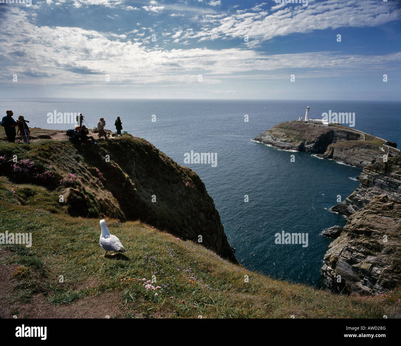 BIRD WATCHERS ON CLIFFS AT GWYNEDD NORTH WALES Stock Photo - Alamy