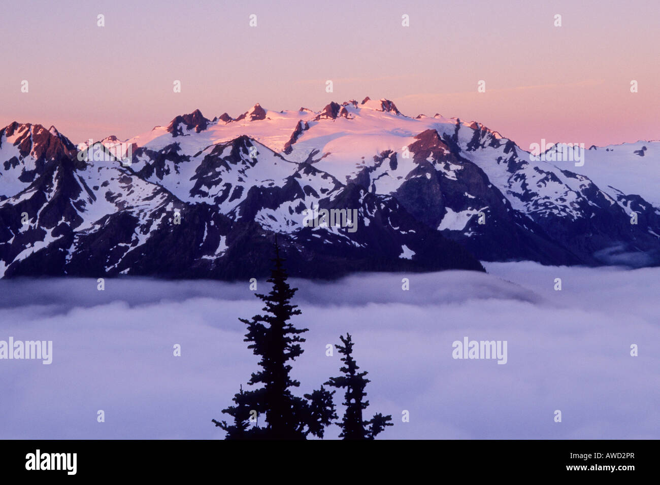 Sunrise over Mount Olympus and Hoh River Valley, Olympic National Park ...
