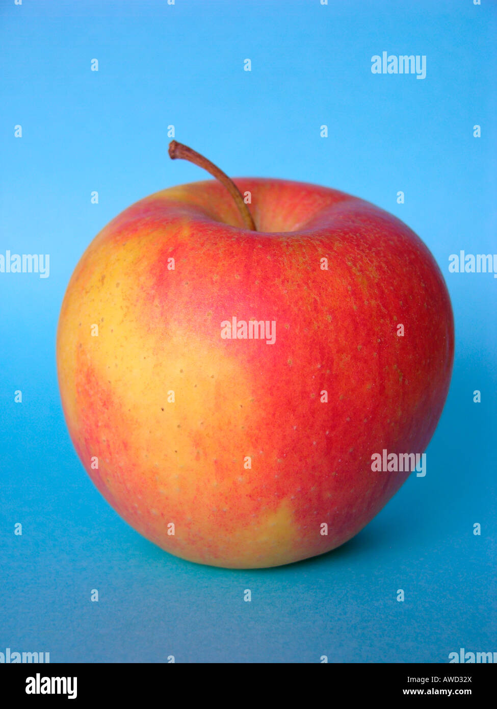 Roter stengel hi-res stock photography and images - Alamy