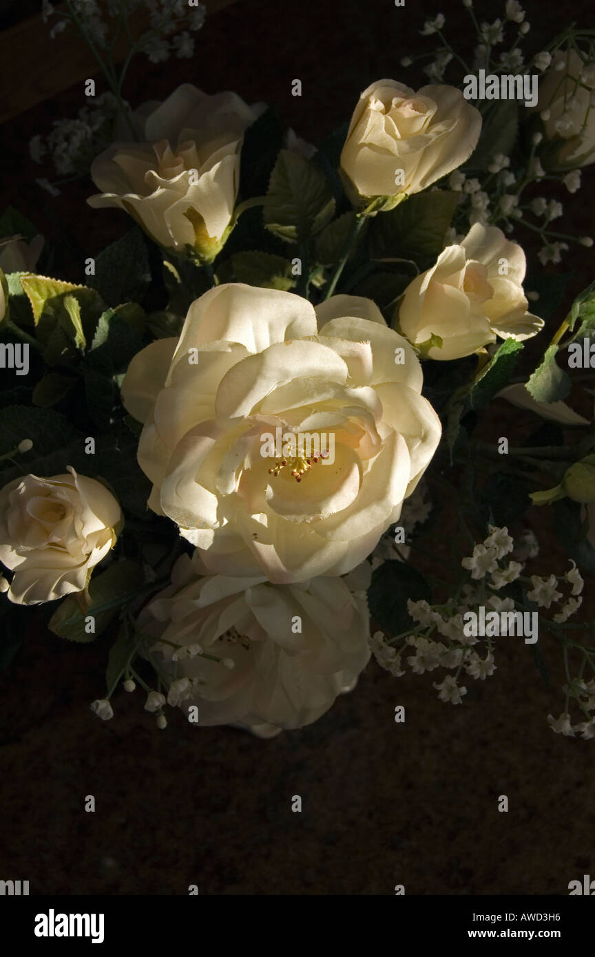 White Roses Bouquet in Shadows Stock Photo - Alamy
