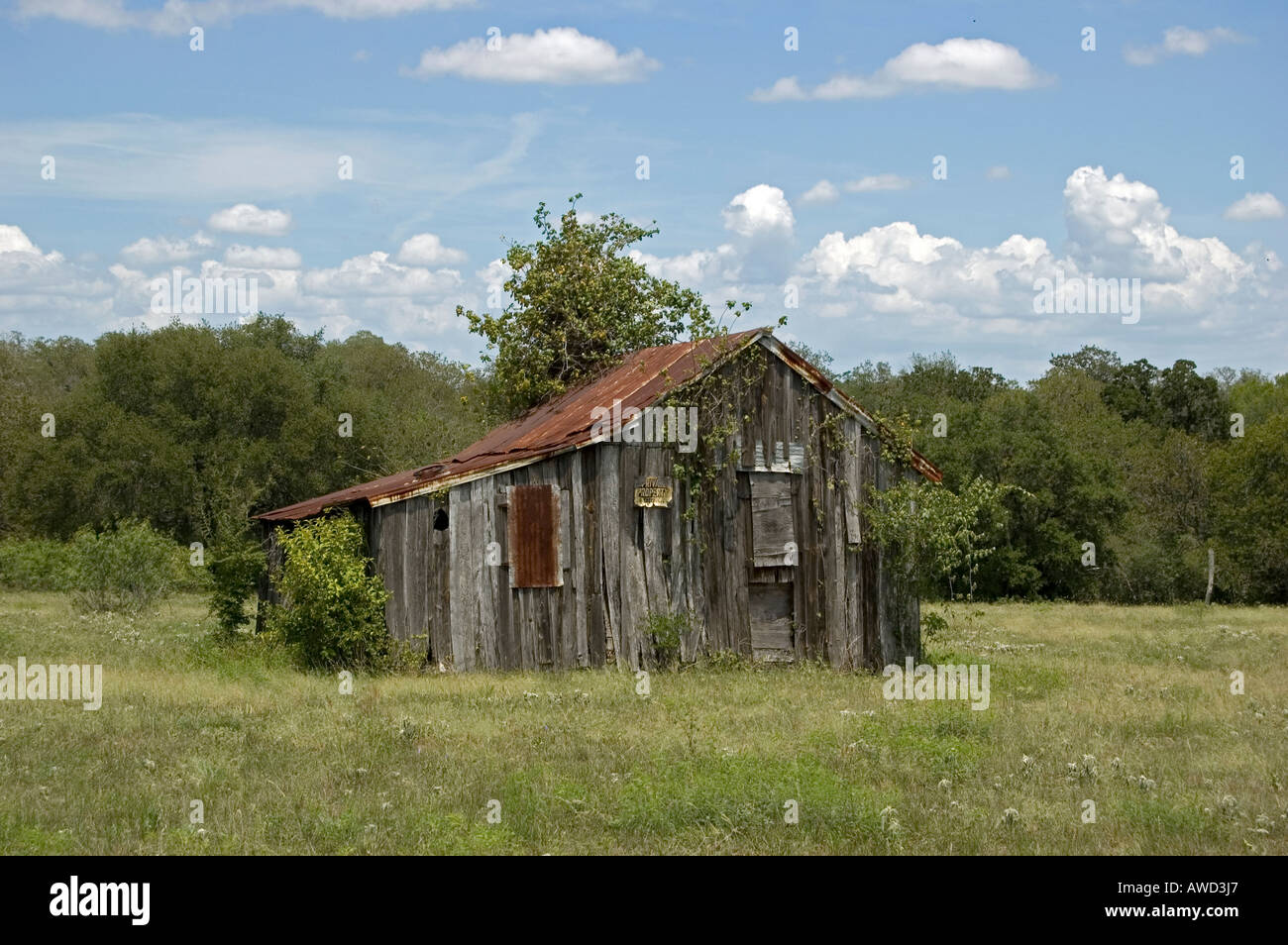 Old Wooden Shack Stock Photo - Alamy