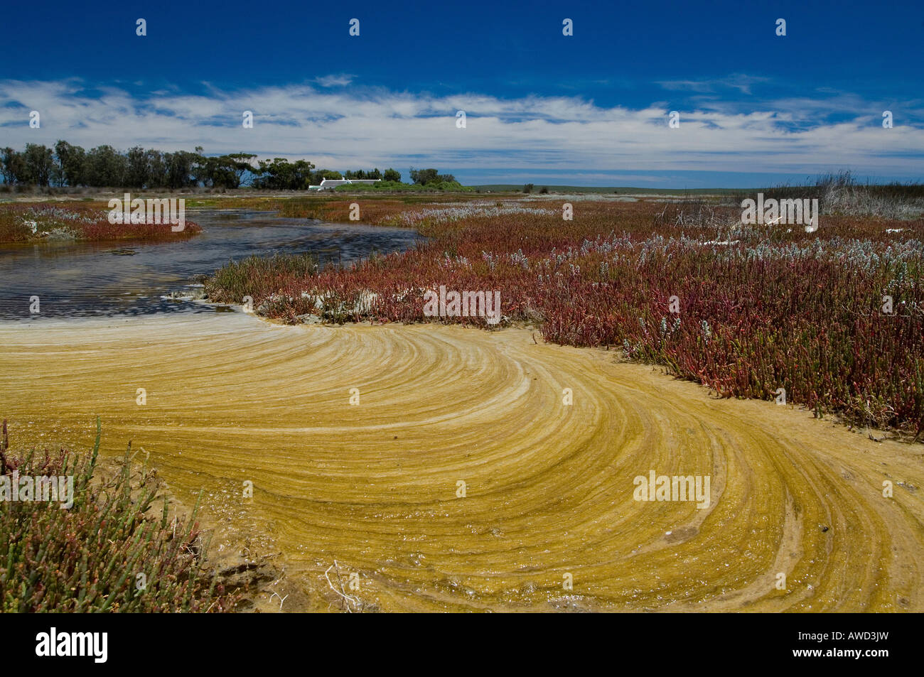 Saldanha Bay, Langebaan, Geelbek Visitor Centre, West Coast National ...