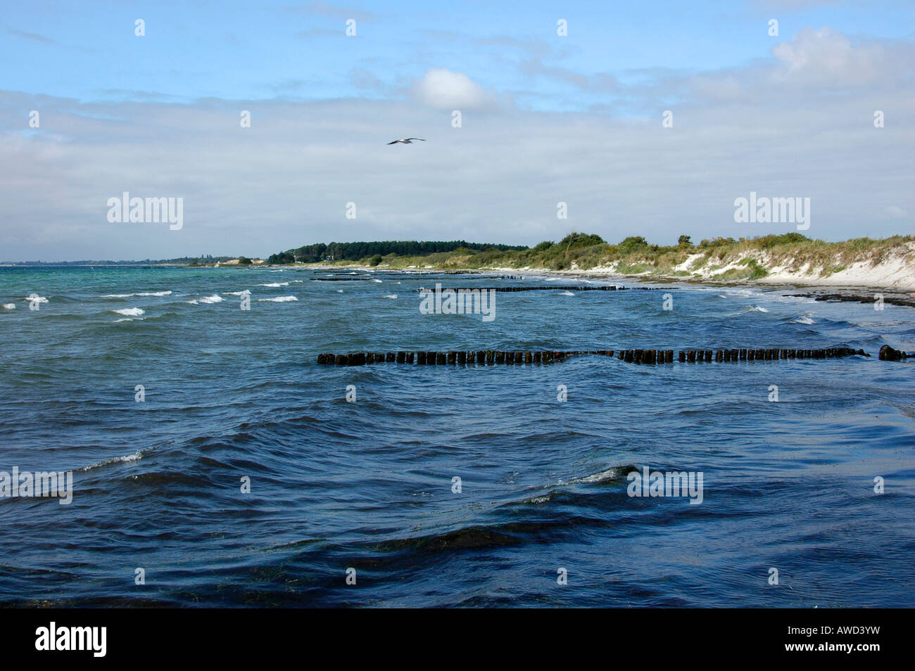 Beach near Koege, Denmark, Europe Stock Photo - Alamy
