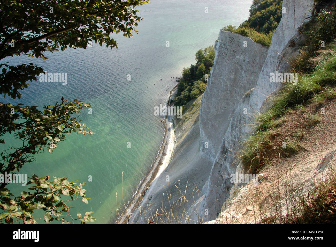 Moens hi-res stock photography and images - Alamy