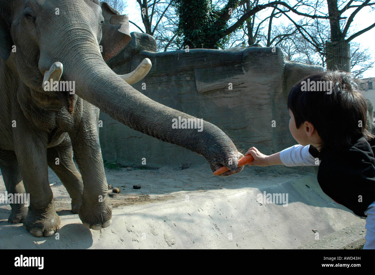 Hagenbeck Zoo, Hamburg, Germany, Europe Stock Photo - Alamy