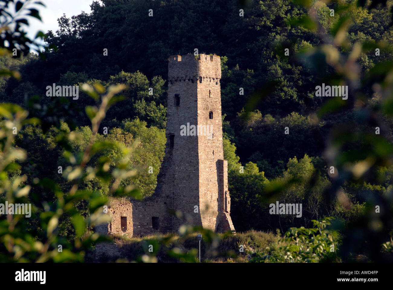 Monreal Castle ruins Monreal, winner of the "Unser Dorf hat Zukunft ...