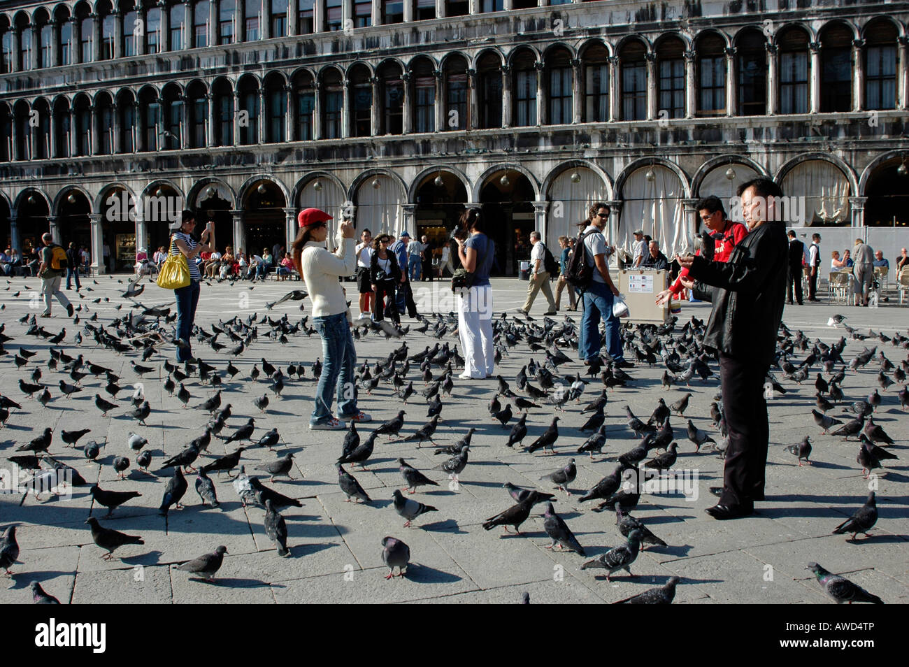Tourists and pigeons at St. Mark's Square or Piazza San Marco in Venice ...