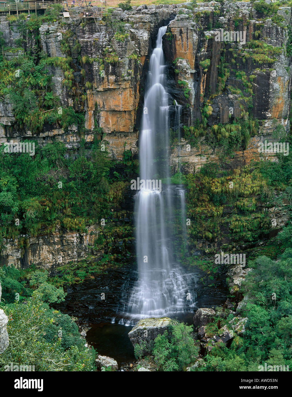 The waterfall at the Graskop Gorge Graskop Mpumalanga Stock Photo - Alamy