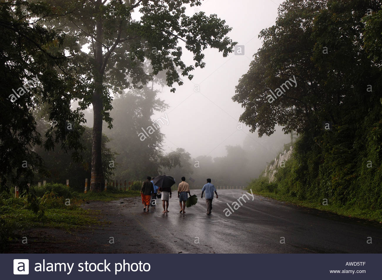 Rainy Season In Kerala Stock Photos & Rainy Season In Kerala Stock ...