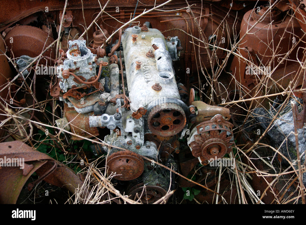 The corroded engine of an abandoned burned out rusted old Toyota car at ...