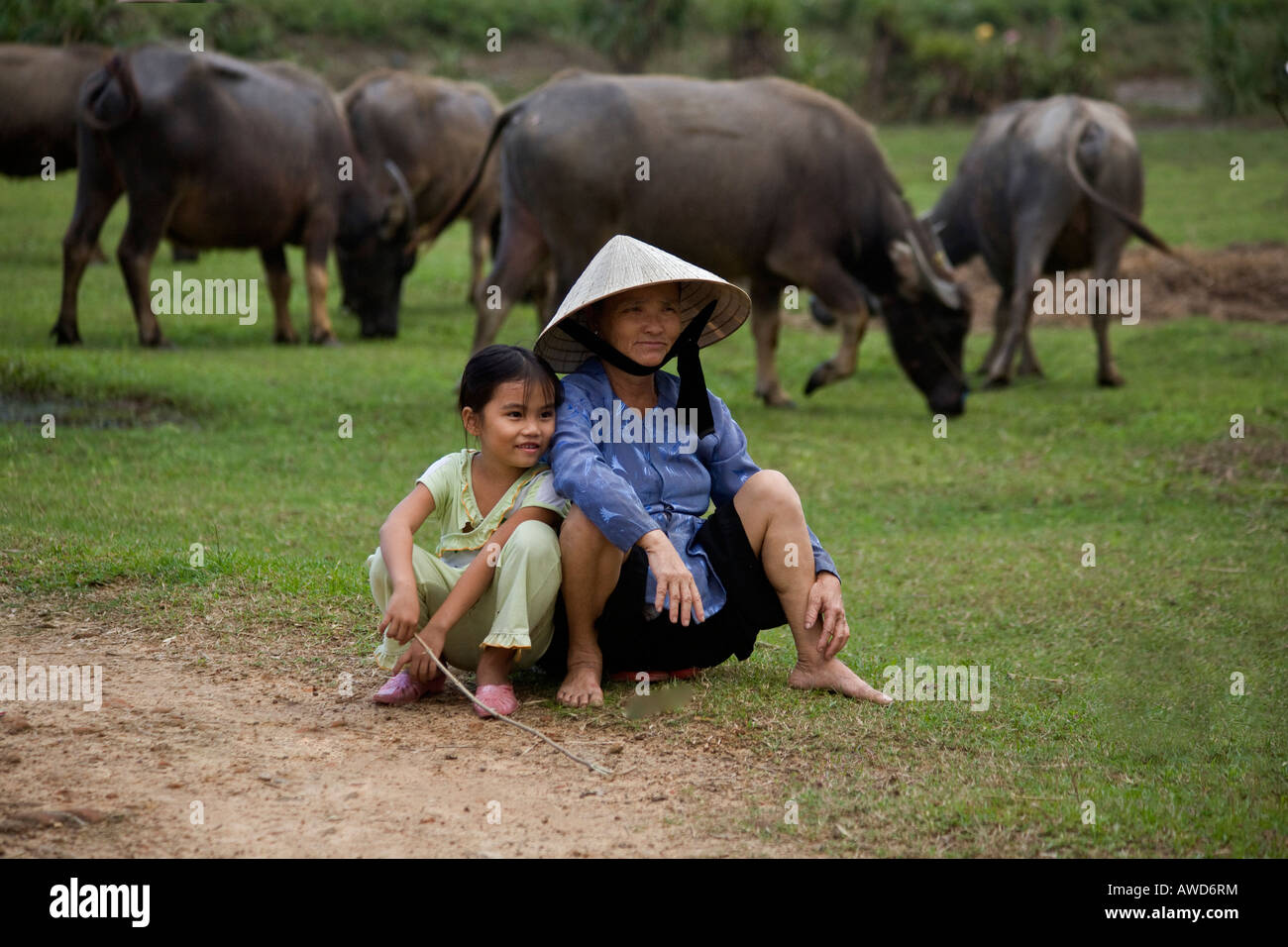 Vietnamese villagers take a moment to pose among WATER BUFFALO CENTRAL ...