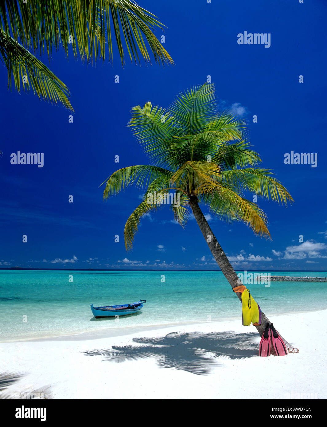 Palm tree and boat hi-res stock photography and images - Alamy