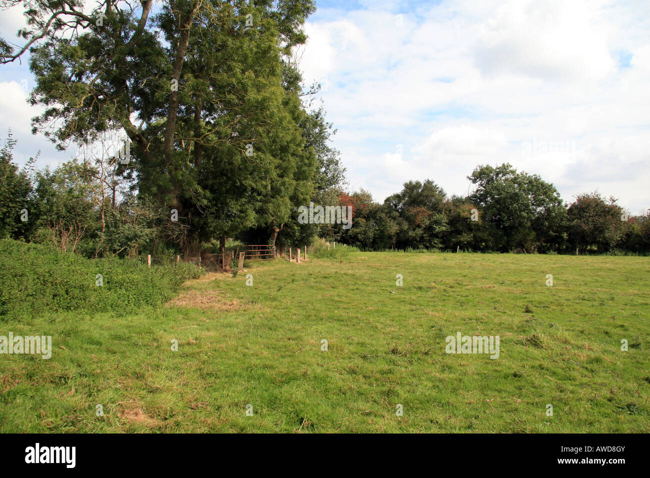 The Normandy location of Brecourt Manor made famous by the Tom Hanks ...