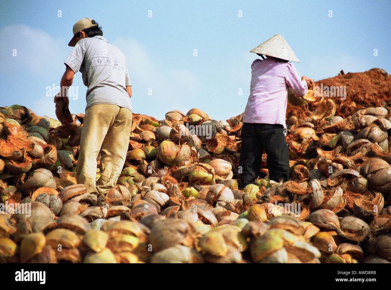 Waste sorting china hi-res stock photography and images - Alamy