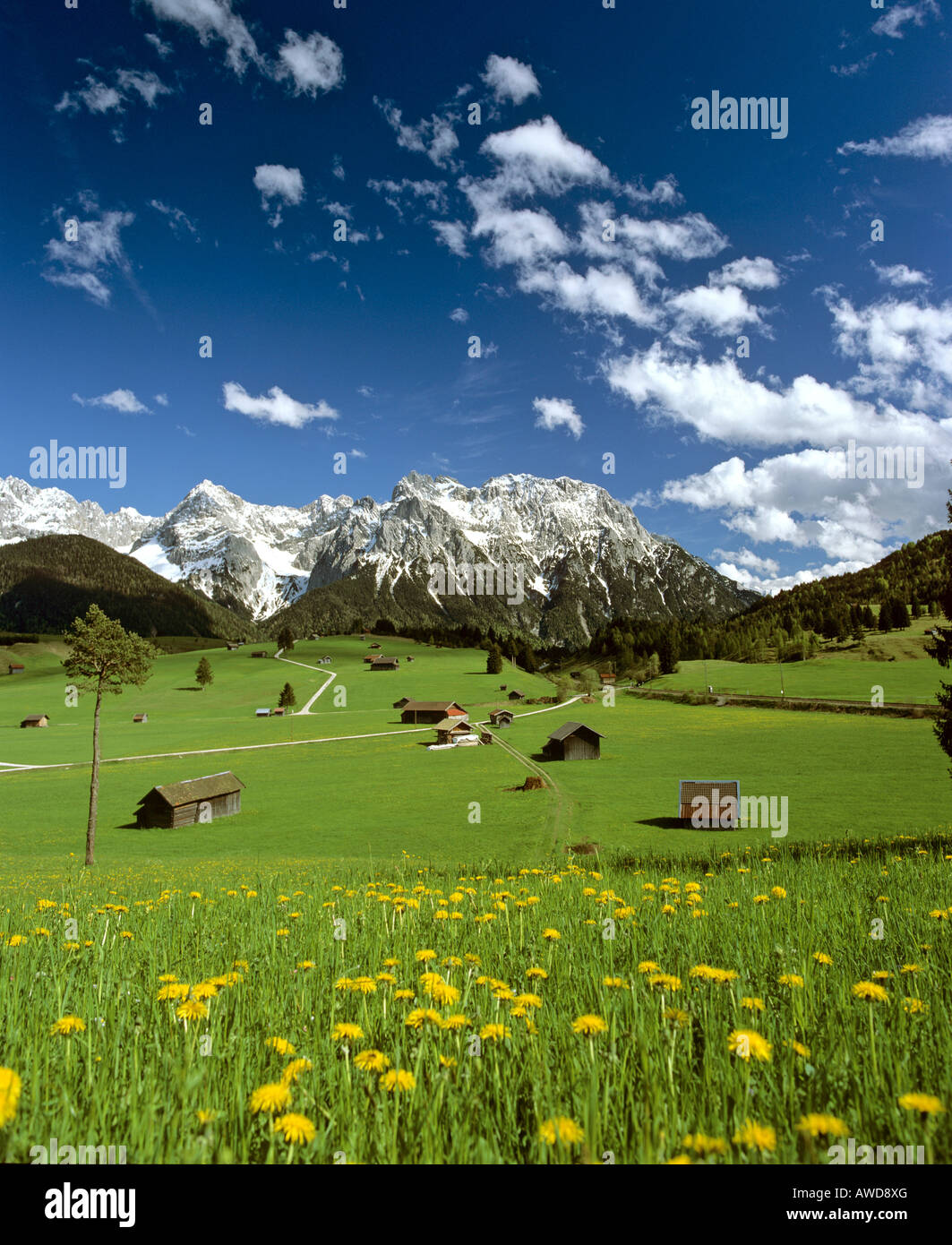 Blumenwiese path hi-res stock photography and images - Alamy