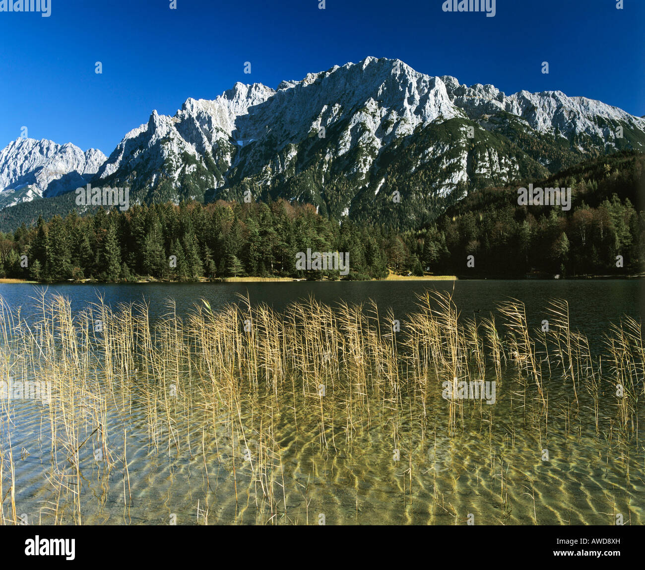 Lake Lautersee, Karwendel Range, Mittenwald Forest, Upper Bavaria ...