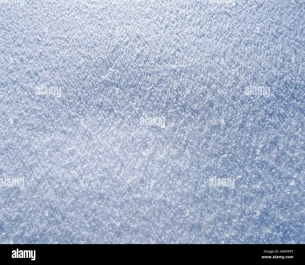 Snow crystals in detail Stock Photo - Alamy