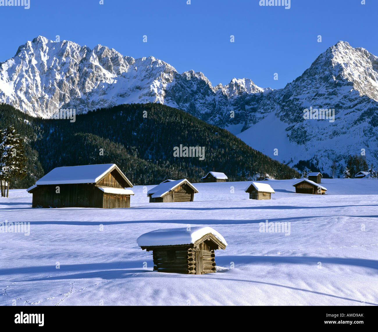 Woerner hi-res stock photography and images - Alamy
