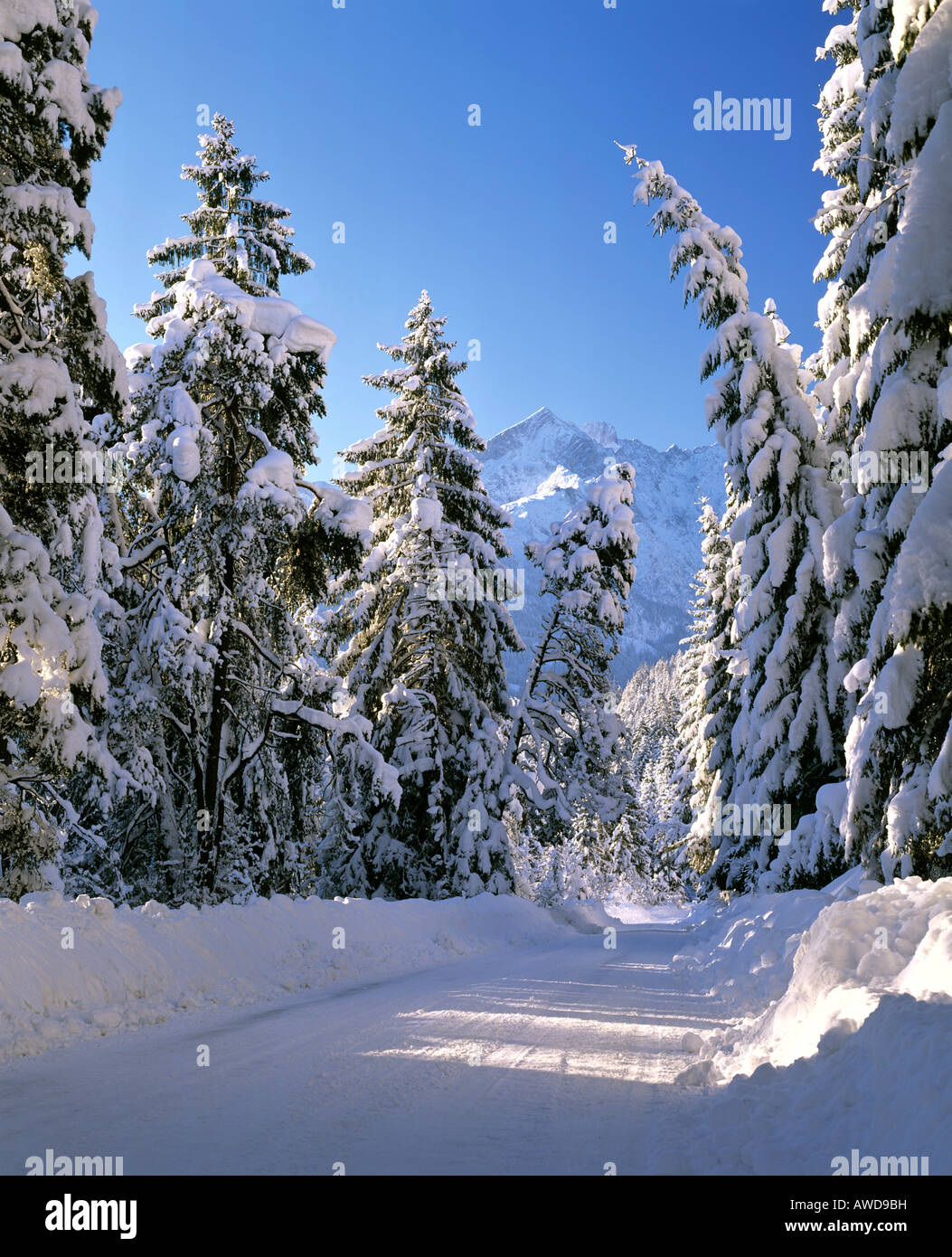 Snowy country road in winter Stock Photo - Alamy