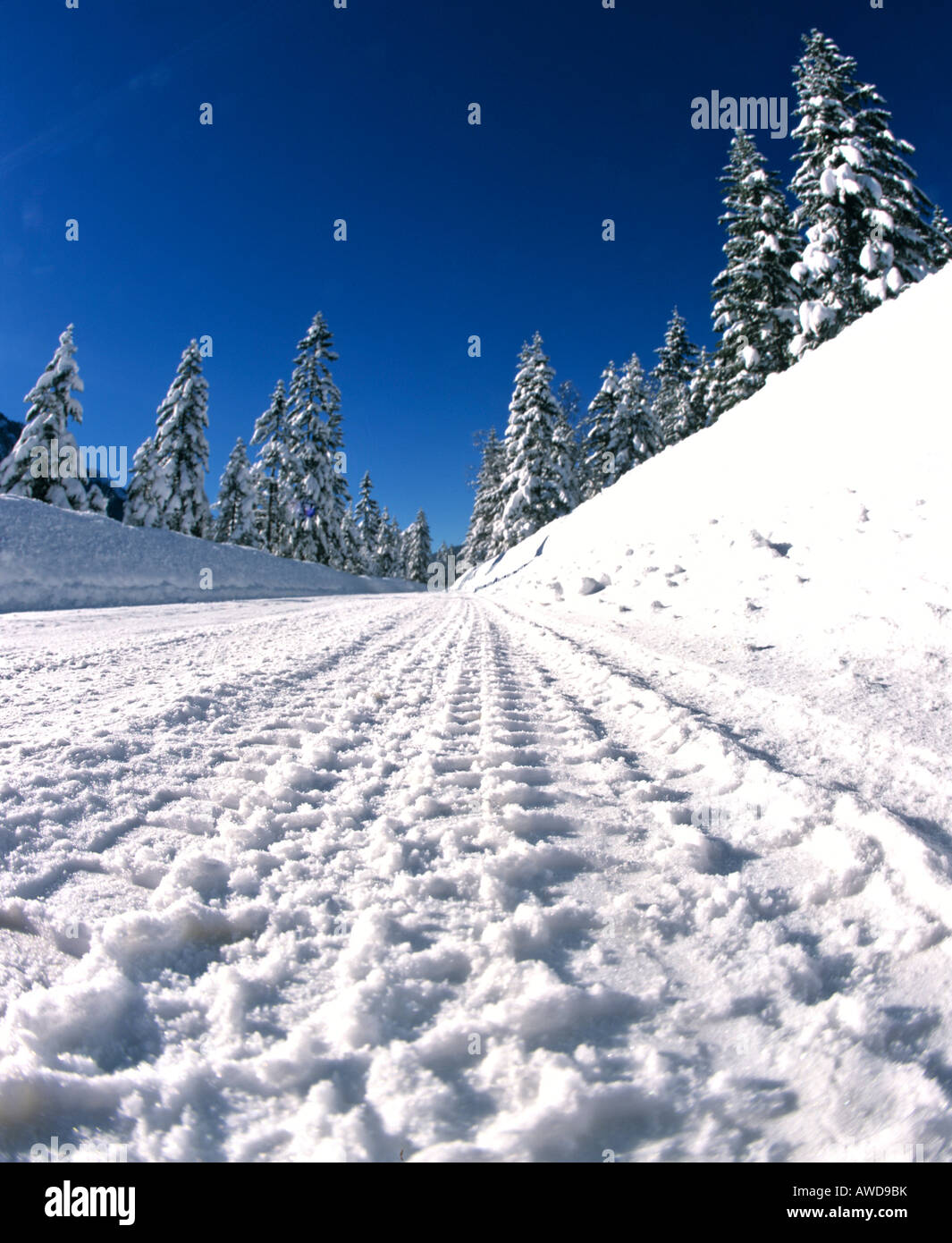 Snowy country road in winter with tyre tracks Stock Photo - Alamy