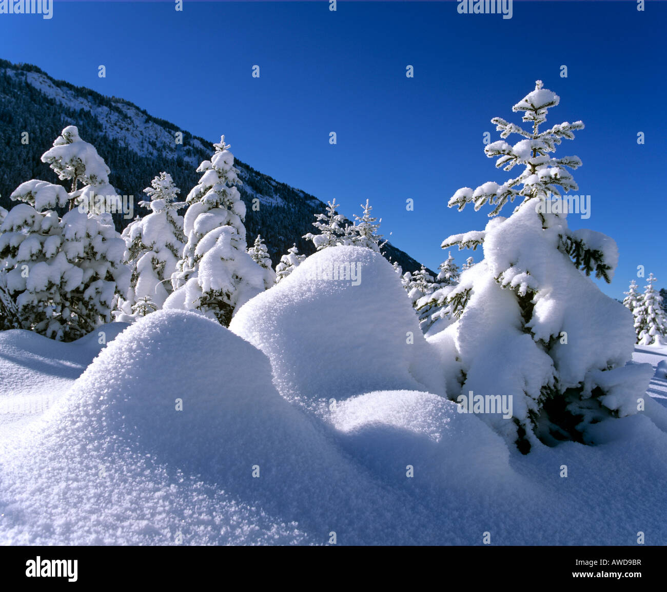 Snowy winter landscape with snow mounds Stock Photo - Alamy