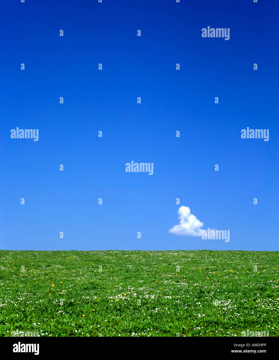 Single cumulus cloud over summer meadow, blue sky Stock Photo - Alamy