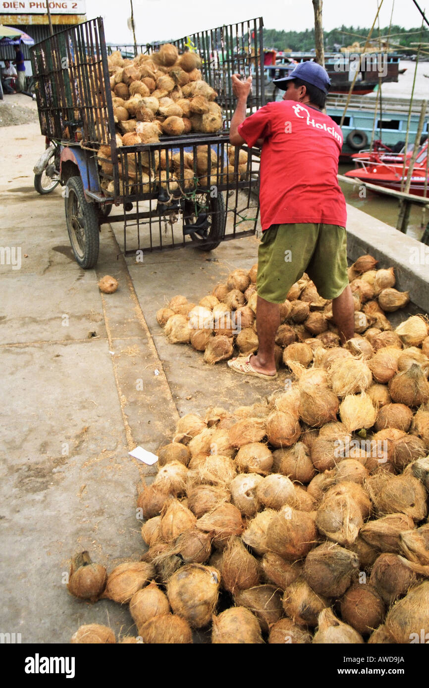 Load of coconuts hi-res stock photography and images - Alamy
