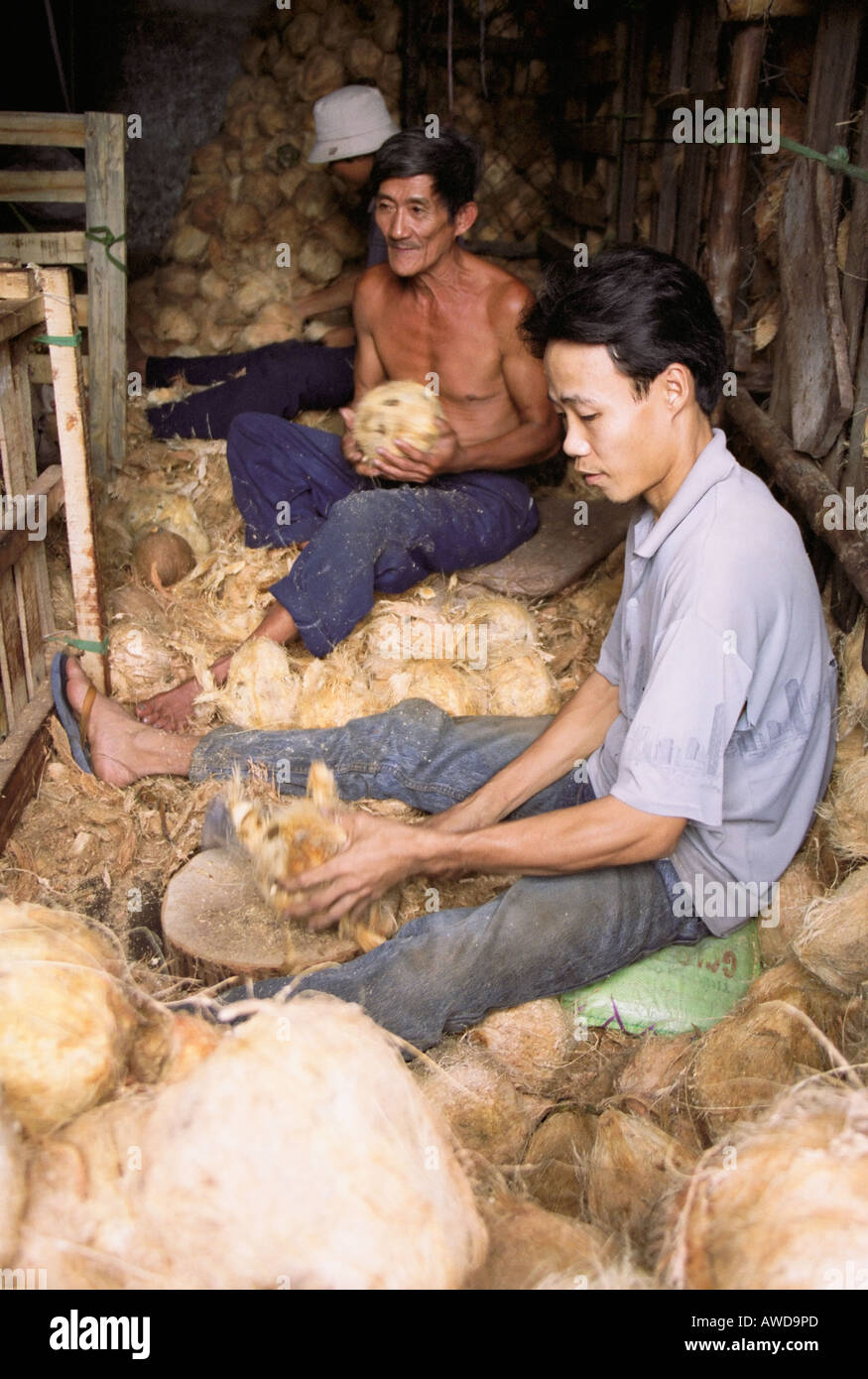 Men Working In Coconut Factory Stock Photo - Alamy