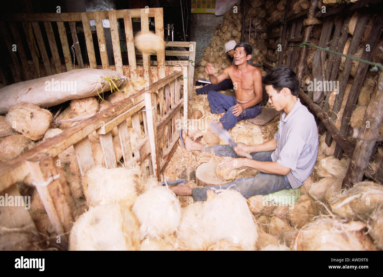Men Working In Coconut Factory Stock Photo - Alamy