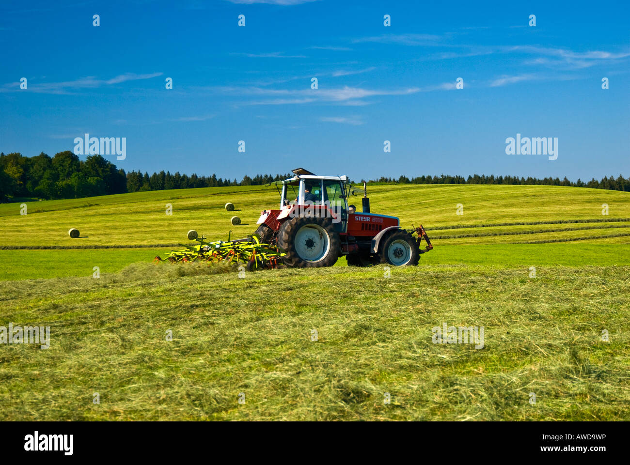 Tractor making hay on the meadows, Bavaria, Germany Stock Photo - Alamy